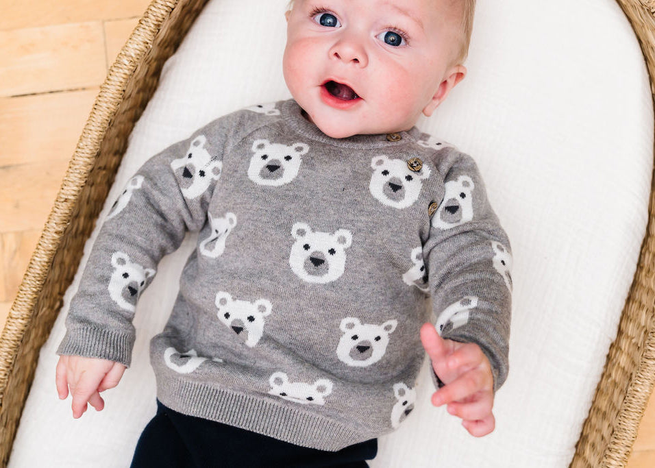 Bear Jacquard Knit Baby Raglan Pullover Sweater (Organic Cotton)